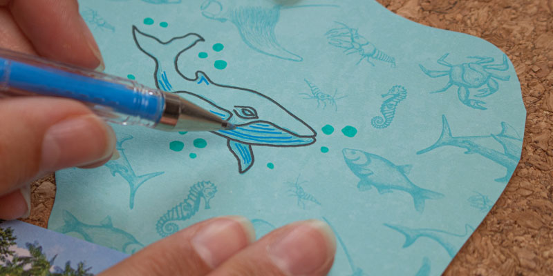 Een “Vision board” maken met de Signo rollers